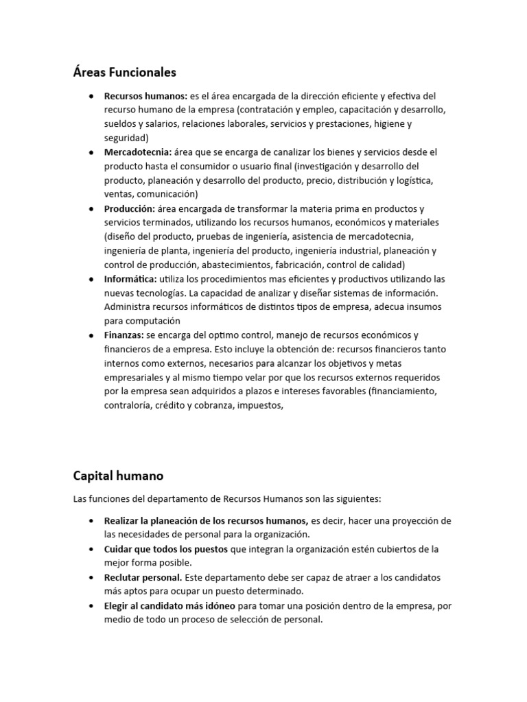 Áreas Funcionales | PDF