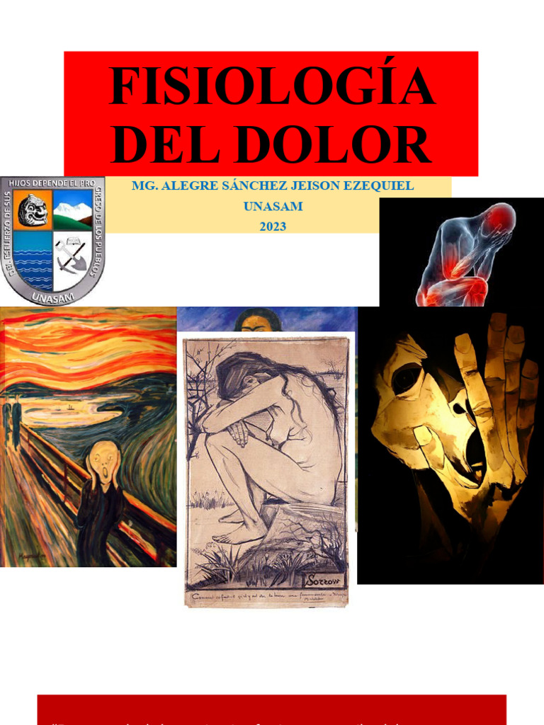 Fisiología Del Dolor | PDF