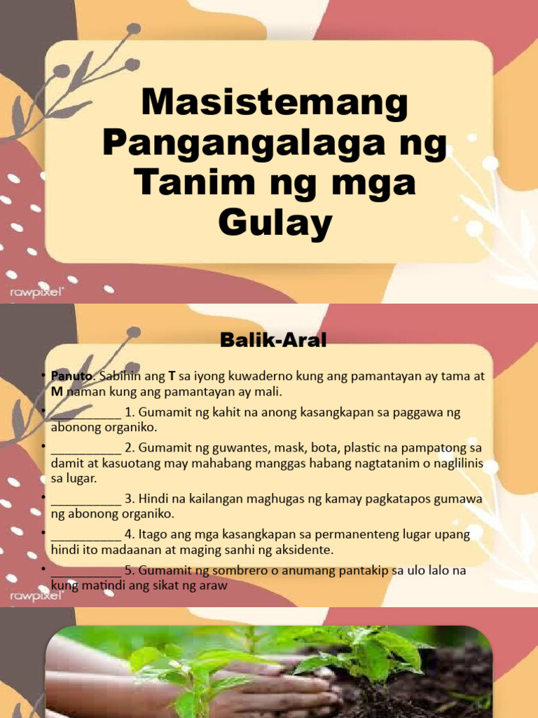 Masistemang Pangangalaga NG Tanim NG Mga Gulay - Week 3 | PDF