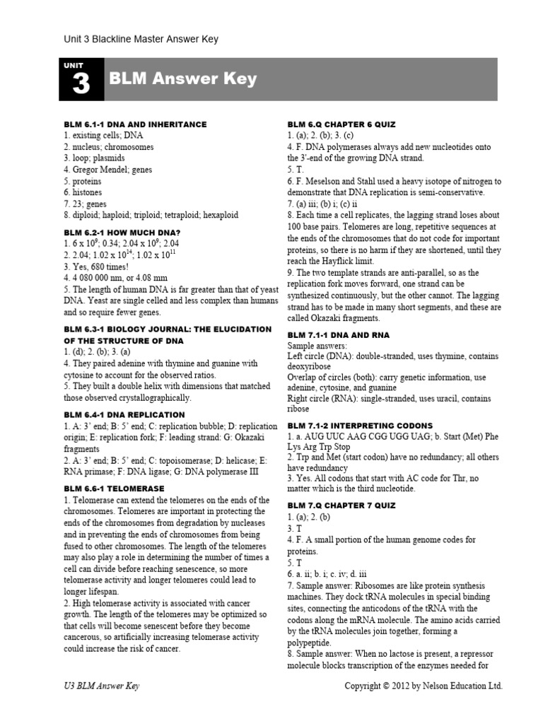 Chapter 6 BLM Key | PDF