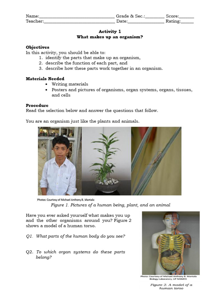 M1 Unit 2 G7 | PDF | Tissue (Biology) | Root