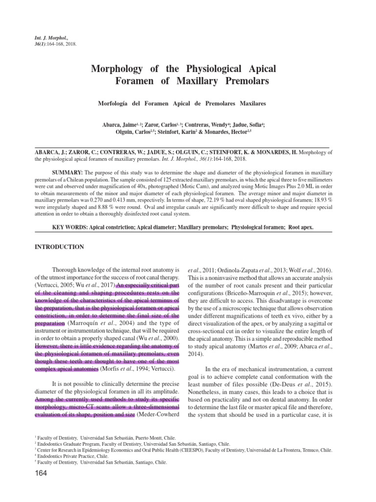 Morfologia Del Foramen Apical | PDF | Tooth | Human Tooth