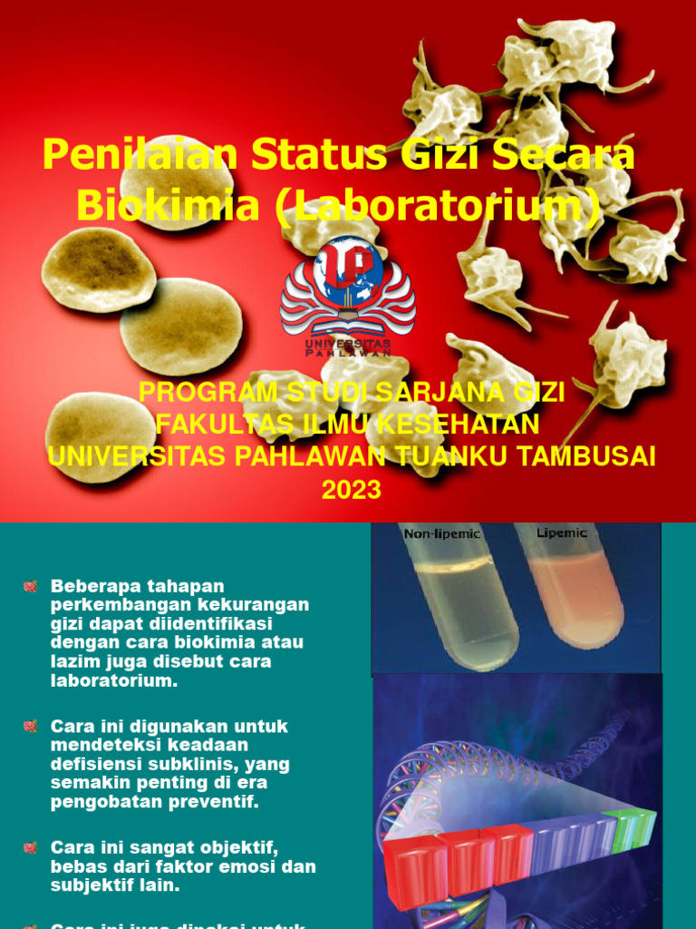 PSG Secara Biokimia | PDF | Pengembangan Diri | Kesehatan Holistik