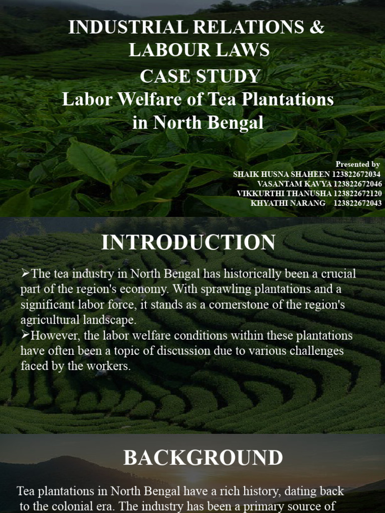 HR Case Study 1 | PDF