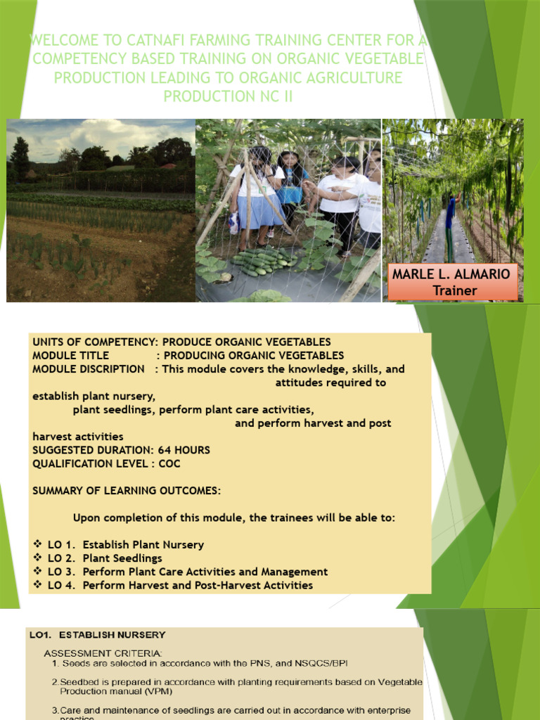 Oap Vegetables | PDF