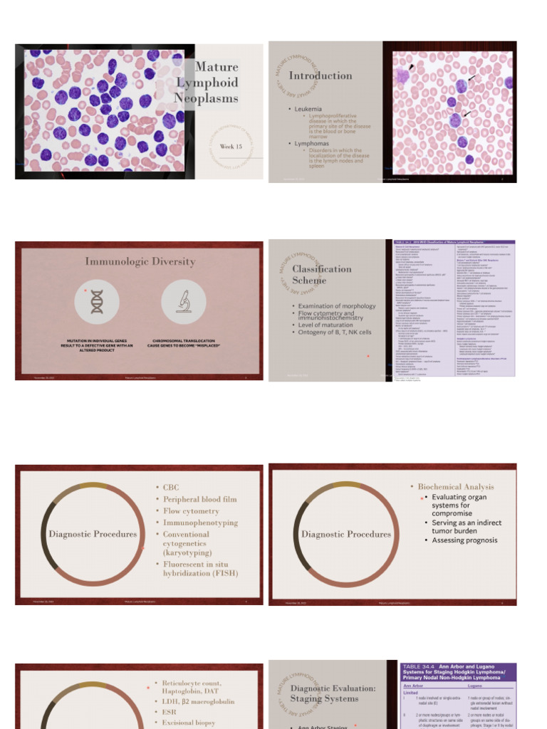 Argumentation and Debate Critical Thinking For Reasoned Decision Making ...