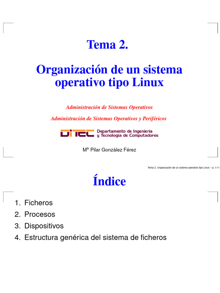 Organizacion de Un Sistema Operat | PDF | Archivo de computadora ...