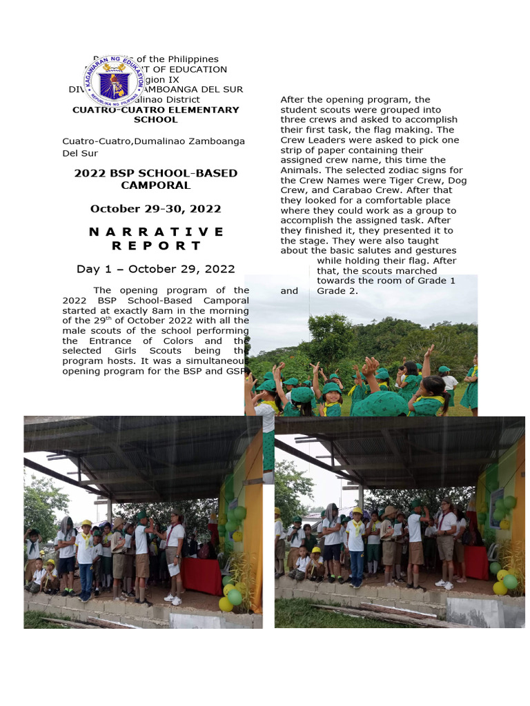 BSP Narrative Report | PDF