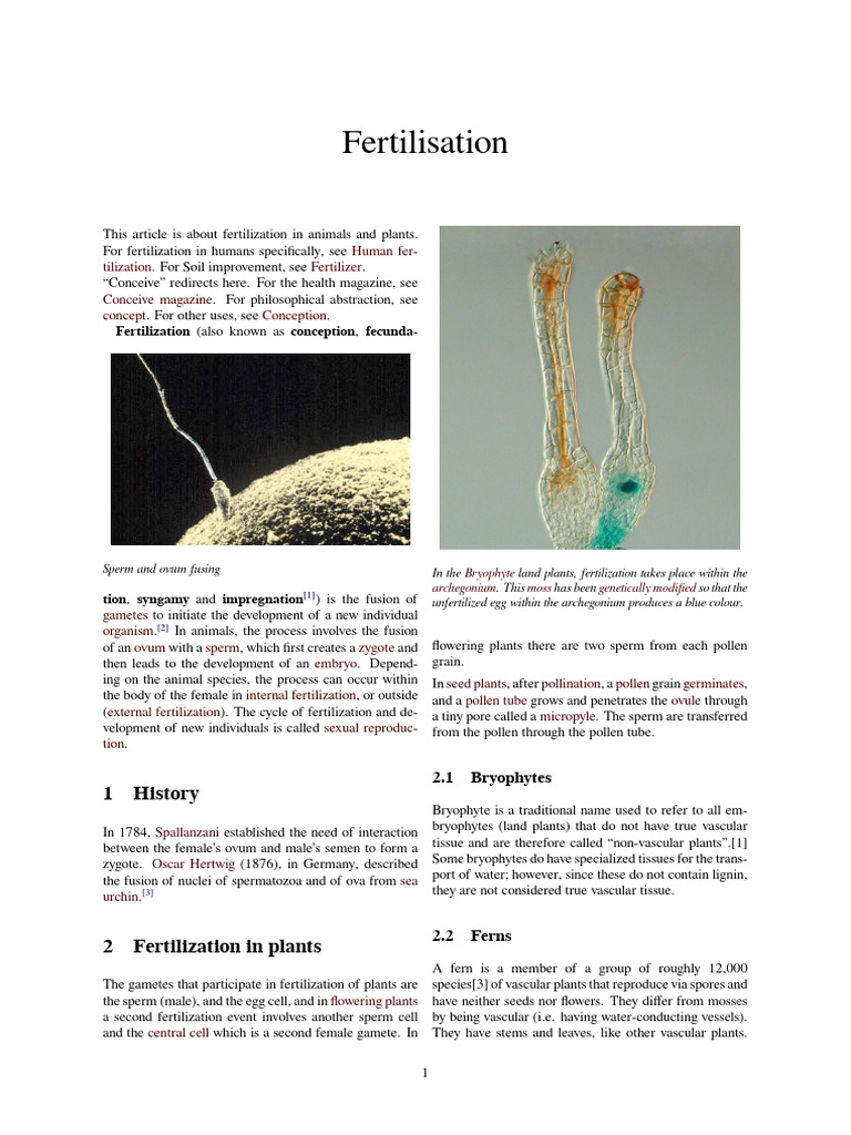 Fertilisation | PDF