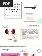 GPC Ivu | PDF | Infección del tracto urinario | Cuidado de la salud