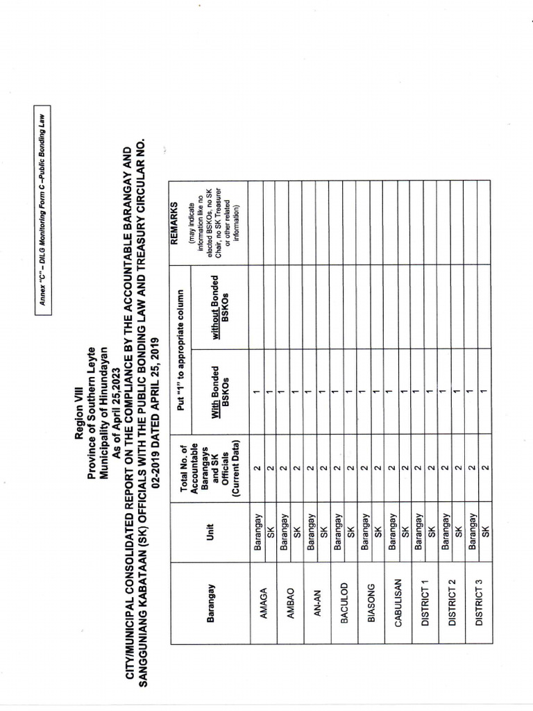 Annec C BSKO Report Hinundayan | PDF