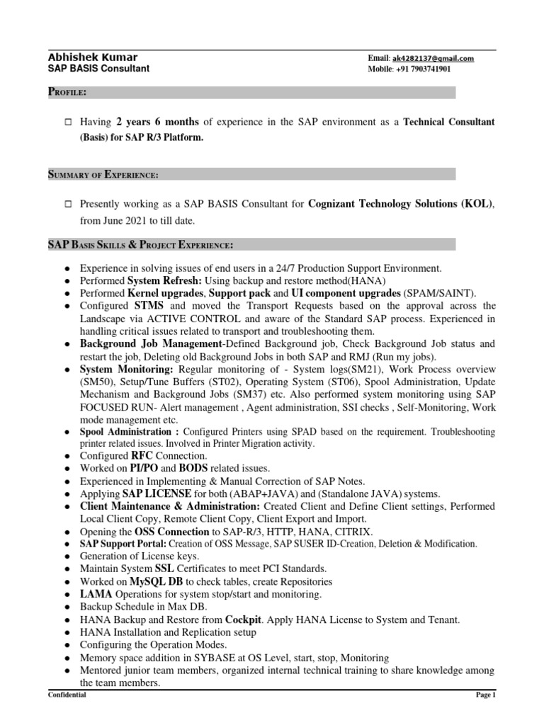 SAP BASIS Consultant Resume Summary | PDF | Operating System ...