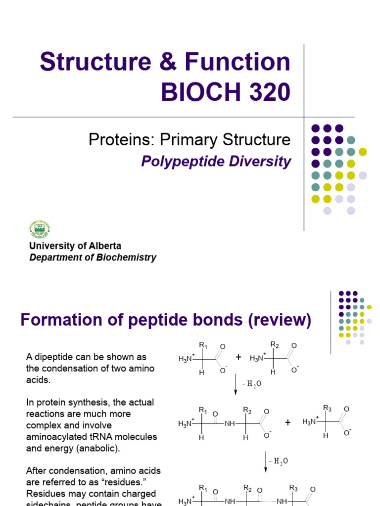 2.protein Primary Structure | PDF | Chromatography | Gel Electrophoresis