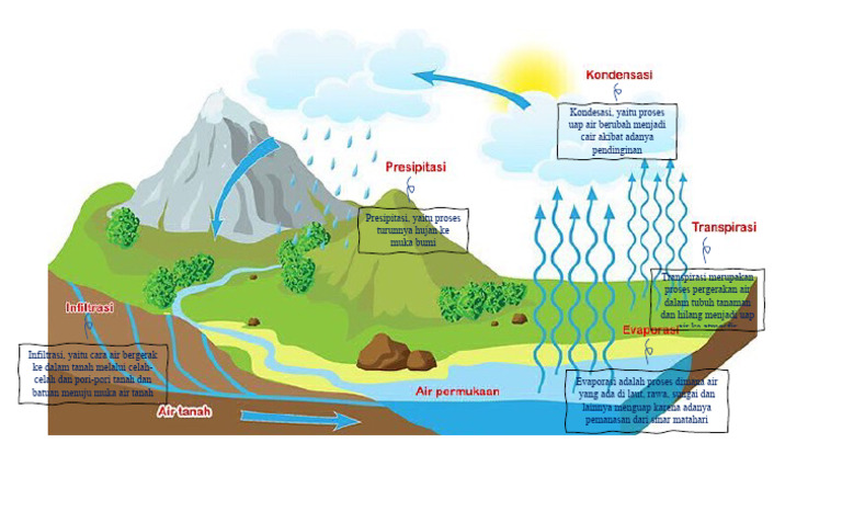 Siklus Air Hujan | PDF
