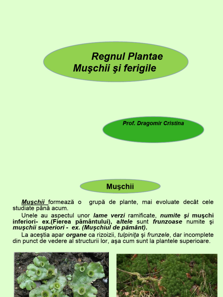 Muschii Si Ferigile1 | PDF