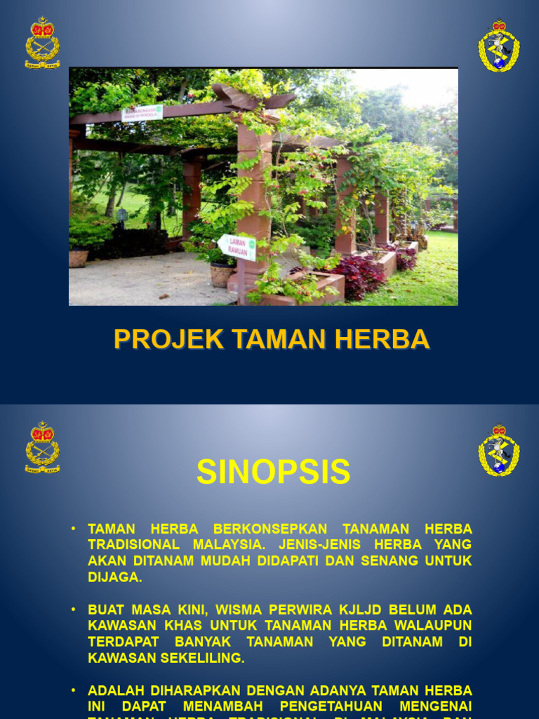 TMN Herba | PDF