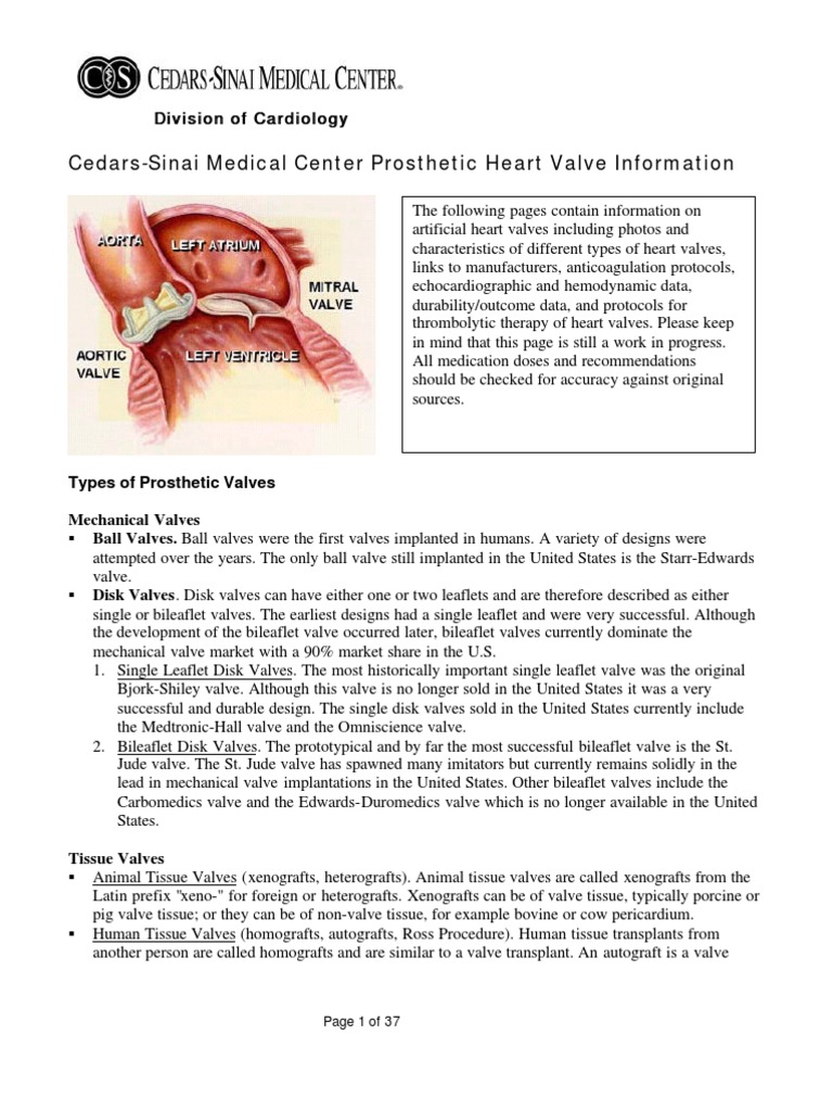 Heart Valves | PDF | Heart Valve | Heart