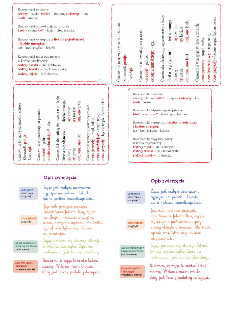 Opis Osoby, Zwierzecia Rzeczownik I Czasownik - Wkejka Do Zeszytu | PDF