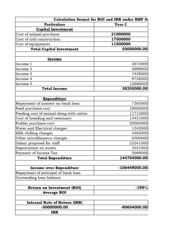 Calculation Format of ROI IRR | PDF