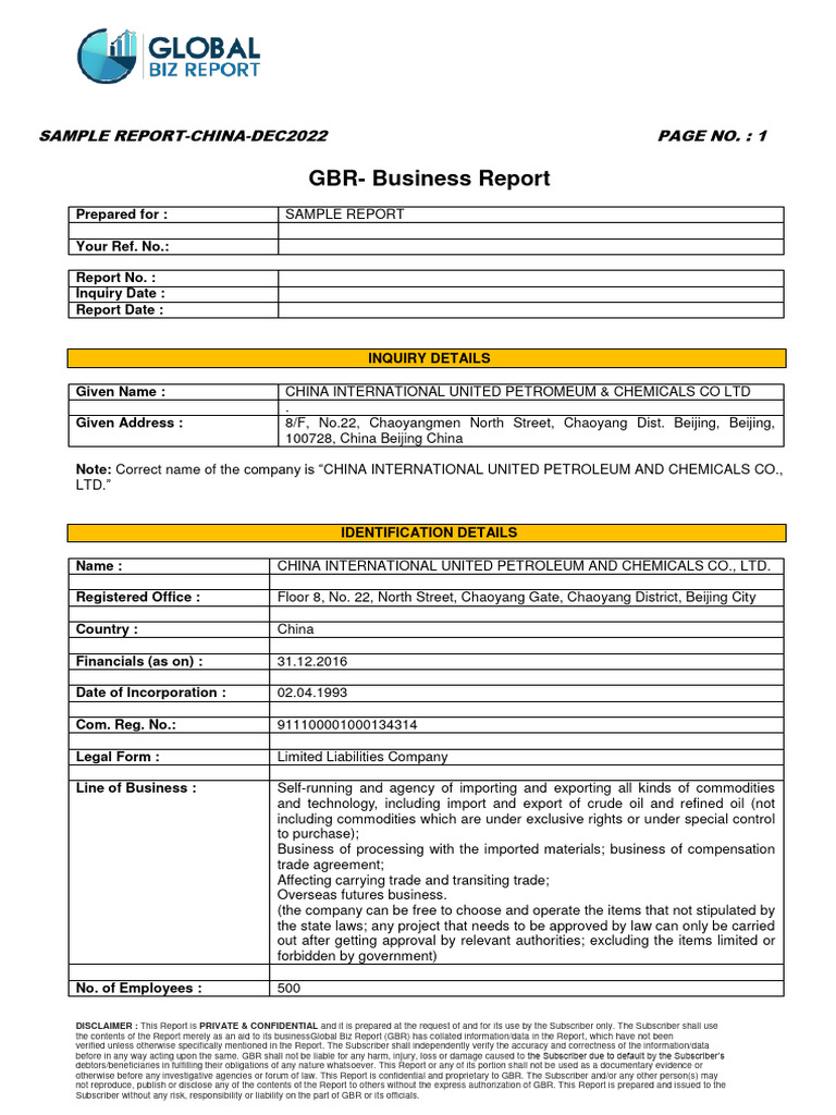 Sample Credit Report | PDF | Exchange Rate | Renminbi