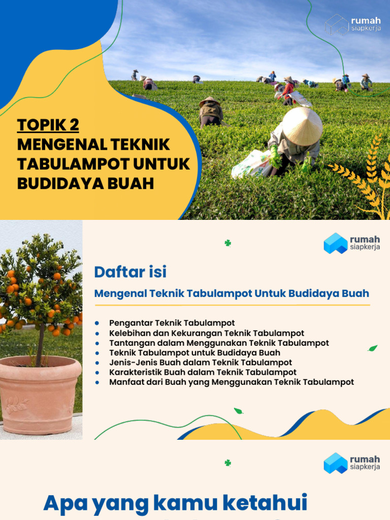 Topik+2 +Mengenal+Teknik+Tabulampot+untuk+Budidayah+Buah+ (Sesi+2) | PDF