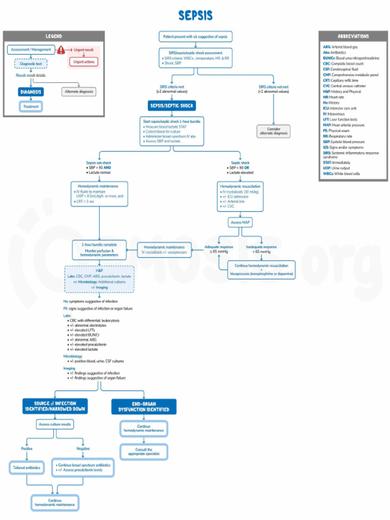 Sepsis (Alforitma Tatalaksana) - OSMOSIS | PDF