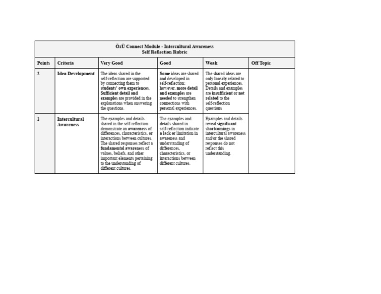 Intercultural Awareness Rubric | PDF