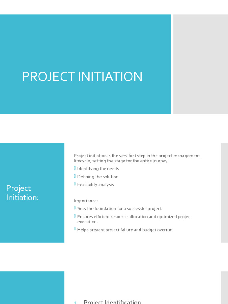 Project Initiation | PDF
