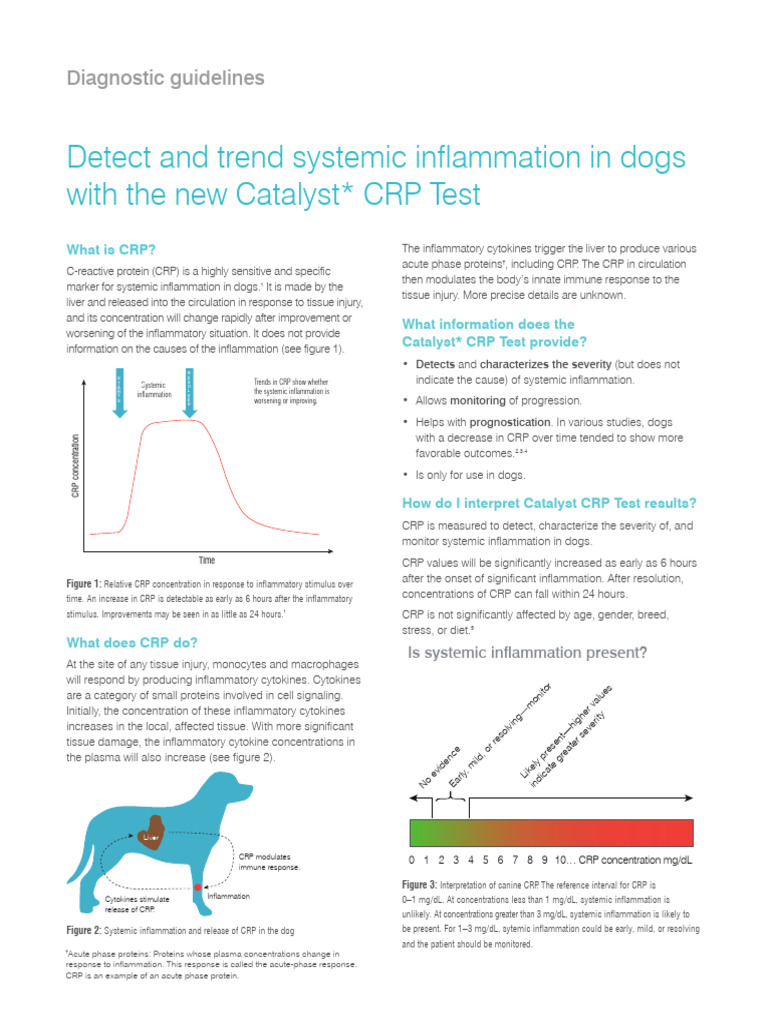Catalyst CRP Diagnostic Guidelines | PDF | C Reactive Protein | Inflammation