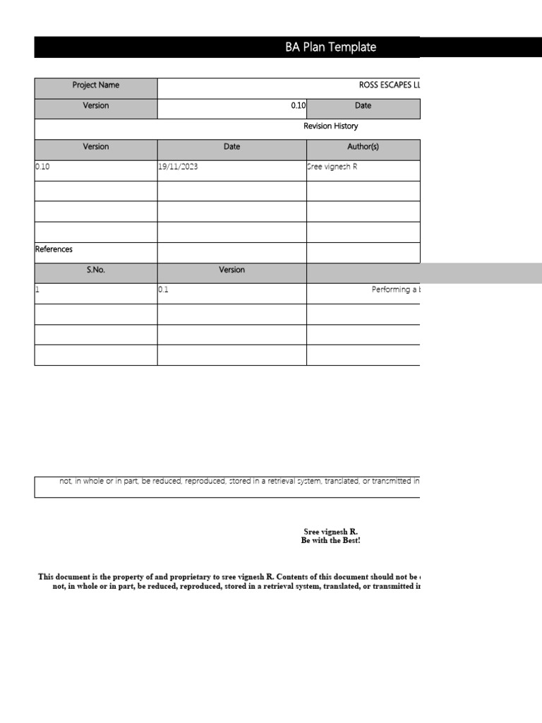 BA Template of Vicky | PDF | Data Analysis | Business Analysis