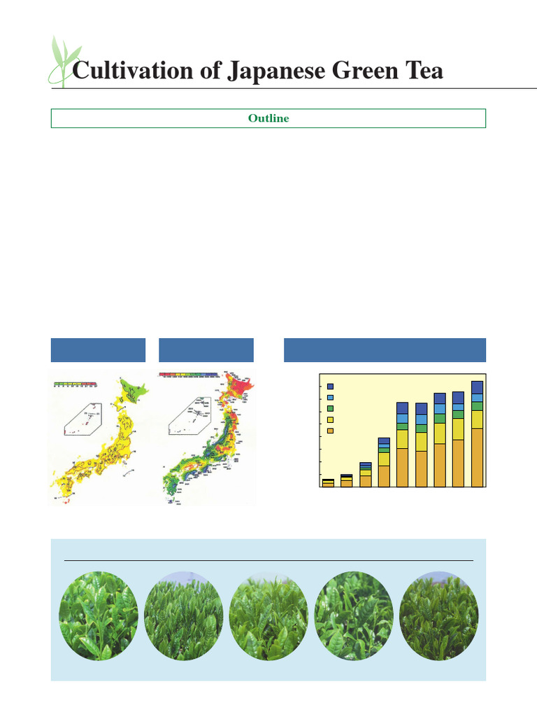 Cultivation of Japanese Green Tea | PDF