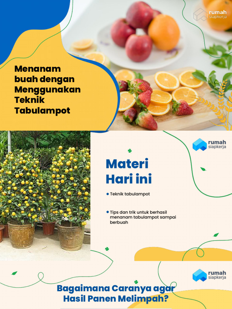 Topik+4 +Menanam+Dan+Memanen+Buah+Hasil+Teknik+Tabulampot+ (Sesi+4) | PDF