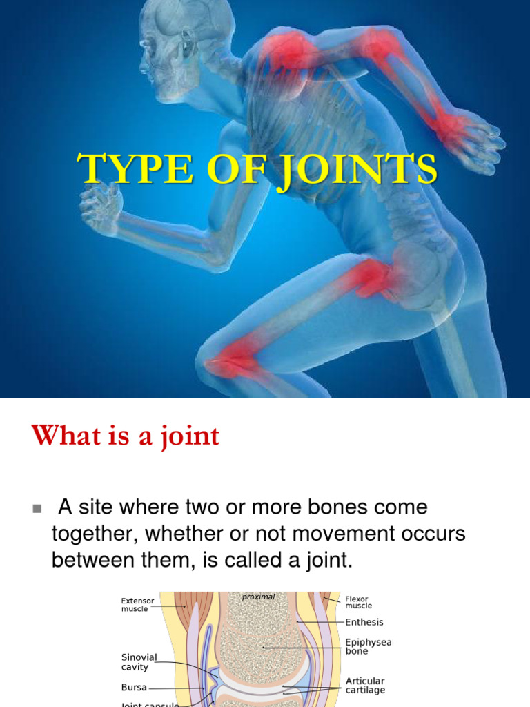 Type of Joints | PDF | Joint | Cartilage