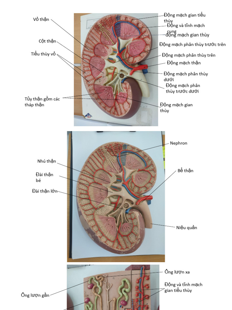 Tá Cháº¡y Tráº¡m NhÃ M 2 | PDF