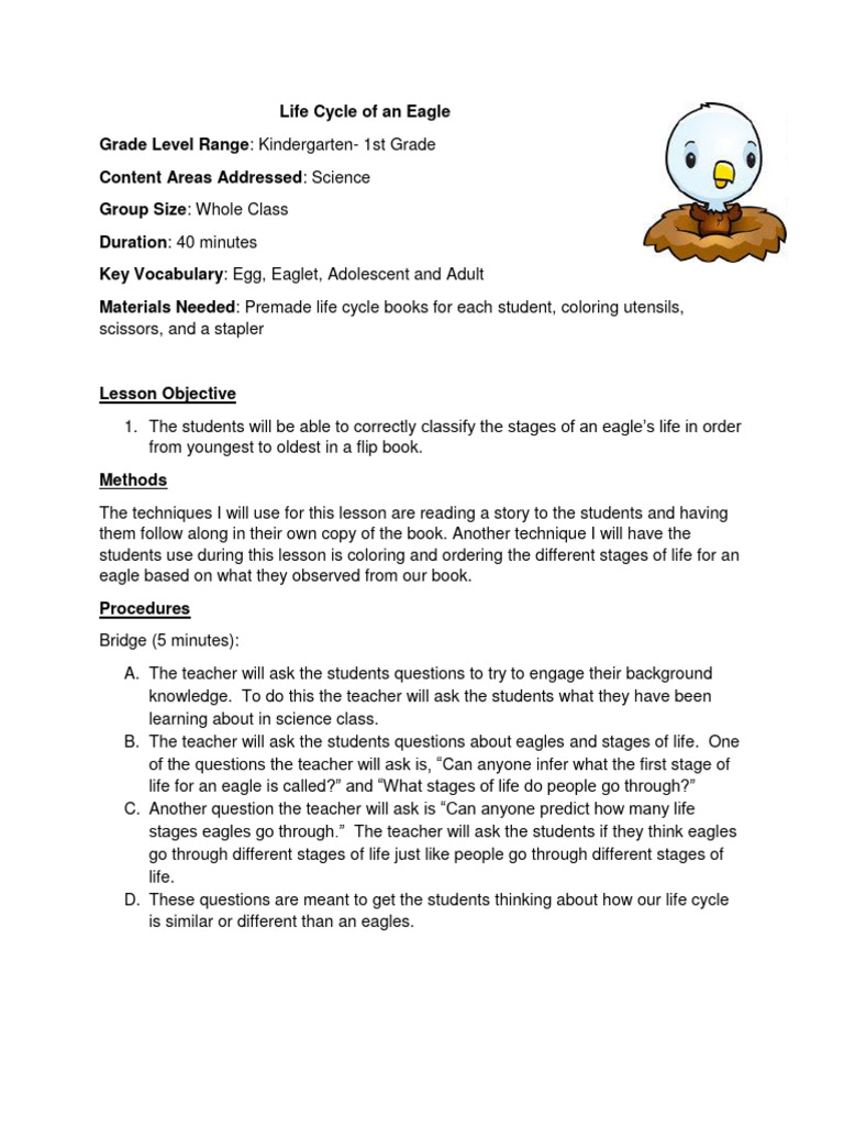 Life Cycle of an Eagle | PDF