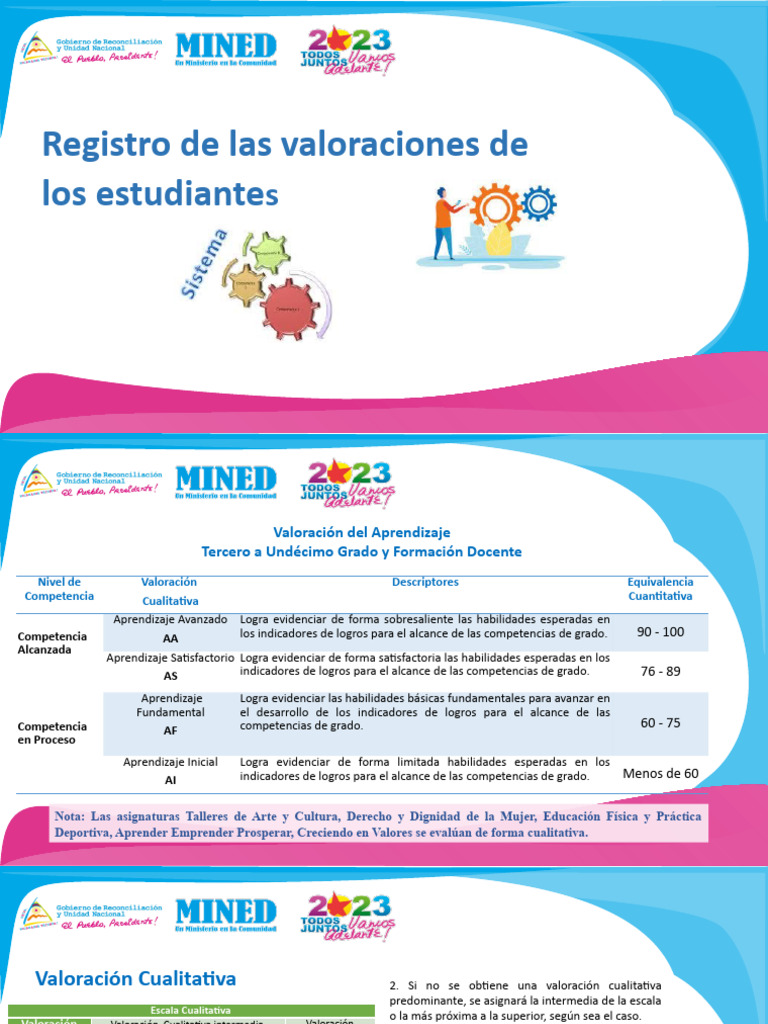 Registro de Valoraciones Cualitativas. Tercer Día. | PDF