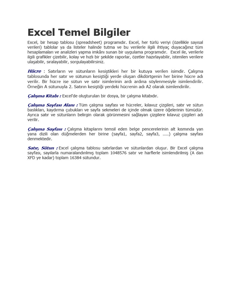 Excel Temel Bilgiler | PDF