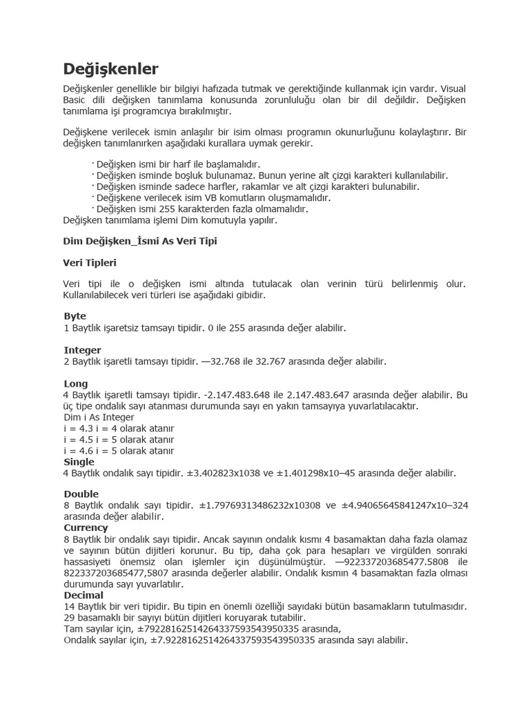 Programlamaya Giriş | PDF