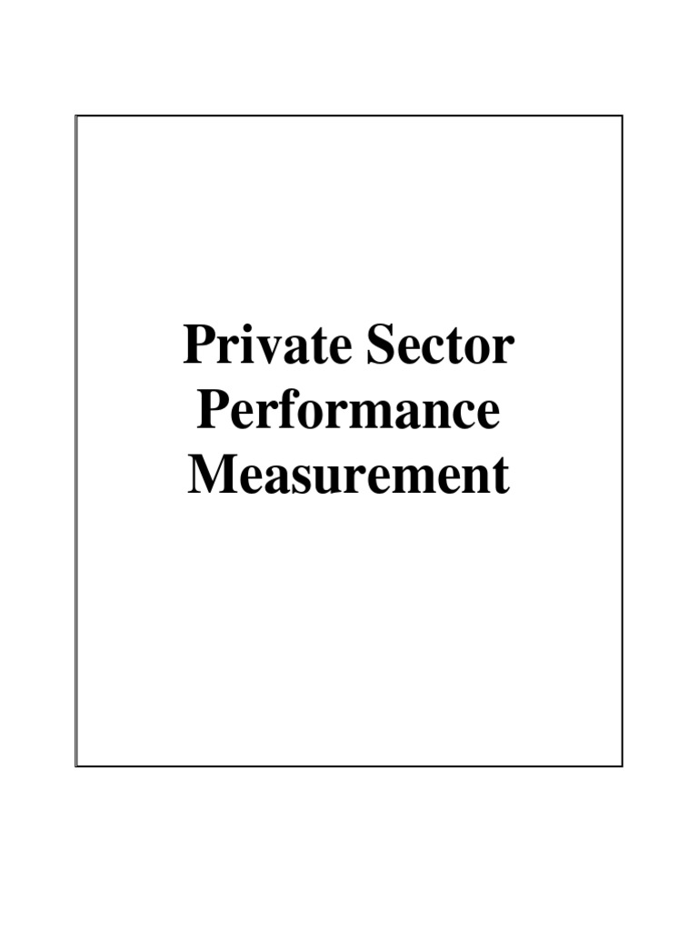 Private Sector Performance Measurement | PDF