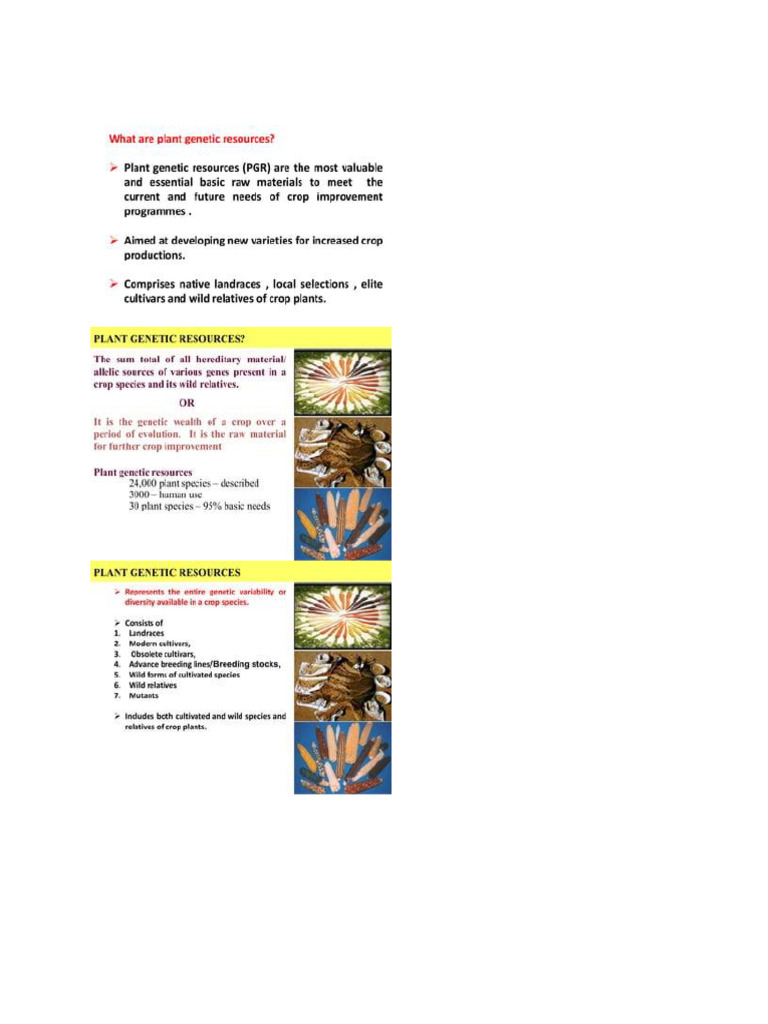 2nd Lect Plant Resources, Utilization and Conservation | PDF