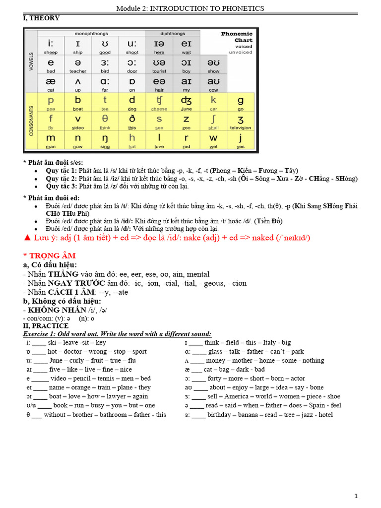 MODULE 1 - Introduction To Phonetics | PDF