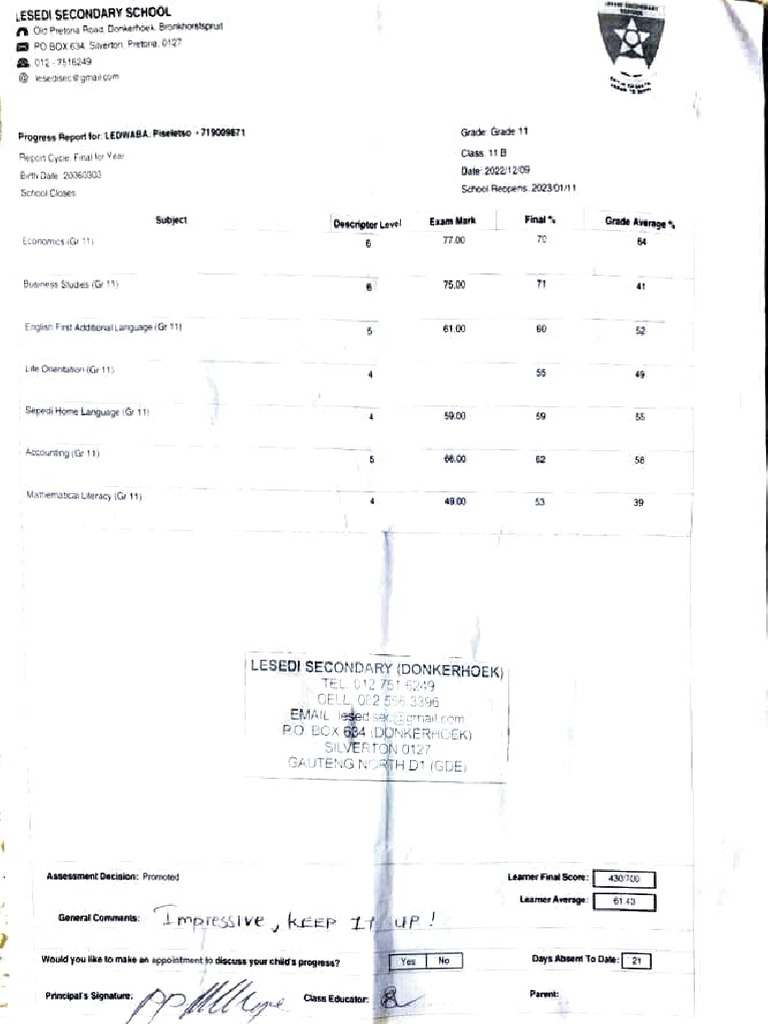 Grade 11 Marks - 2023-07-06 | PDF