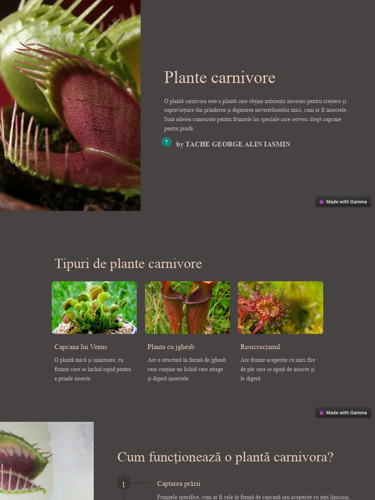 Plante Carnivore | PDF