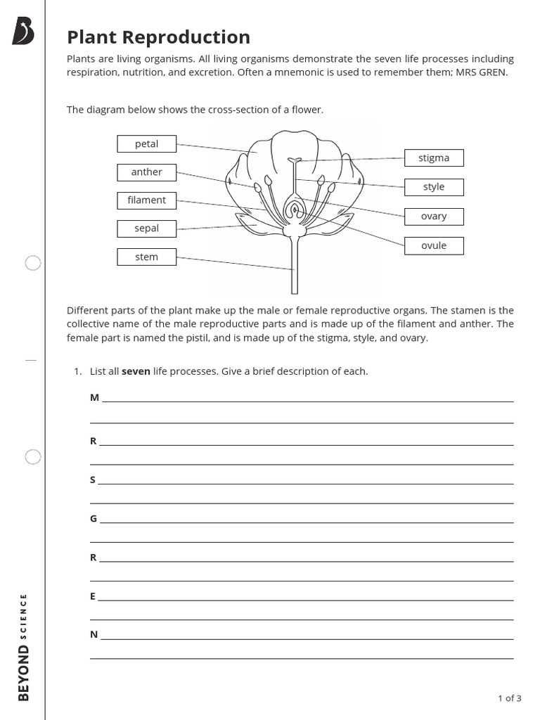 Plant Reproduction Homework Worksheet HA | PDF