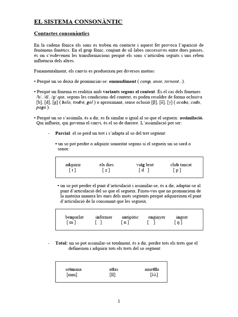 Teoria - Apunts | PDF