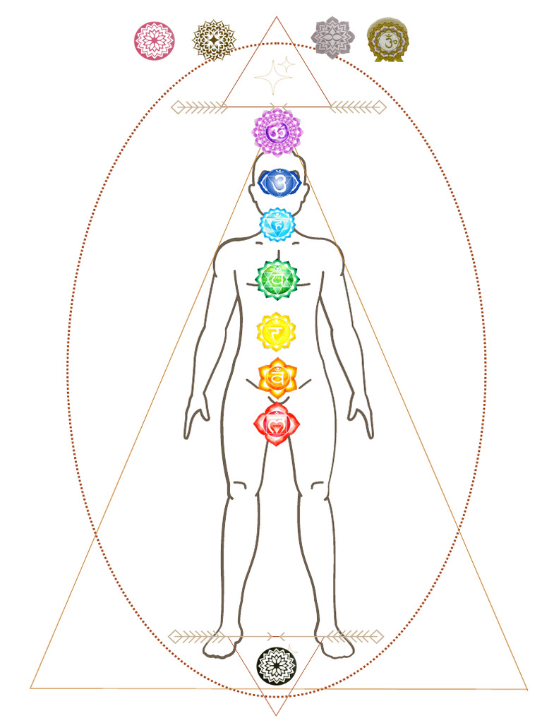 Body Chart Infinity | PDF