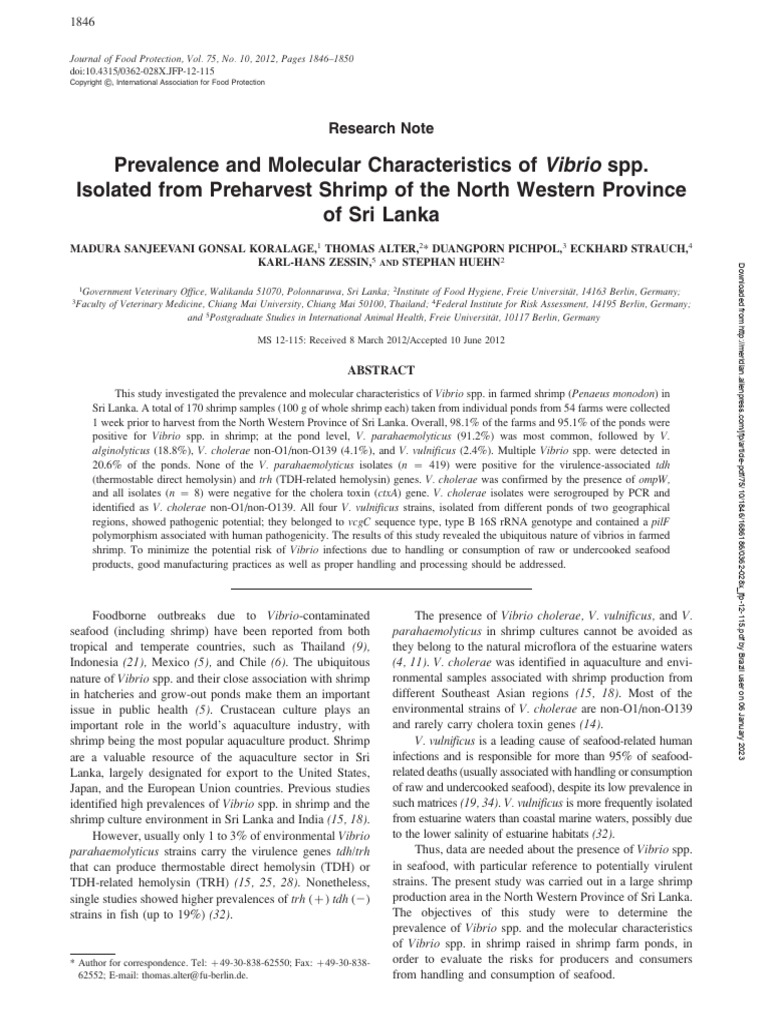Prevalence and Molecular Characteristics of Vibrio | PDF