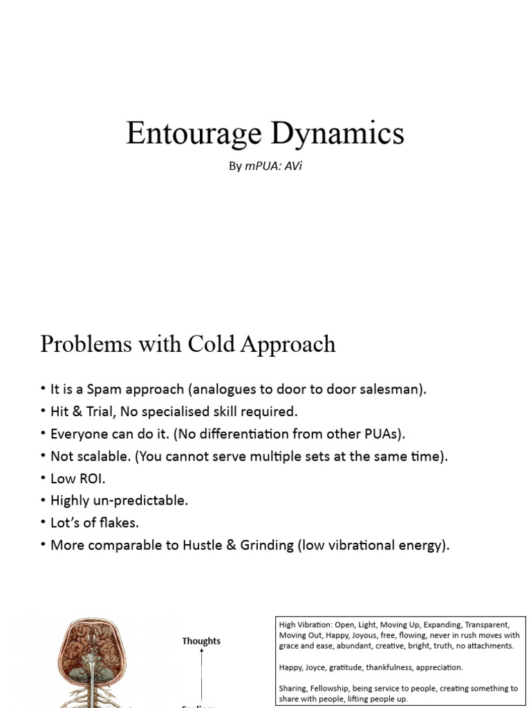 Entourage Dynamics | PDF | Psychology | Emotions
