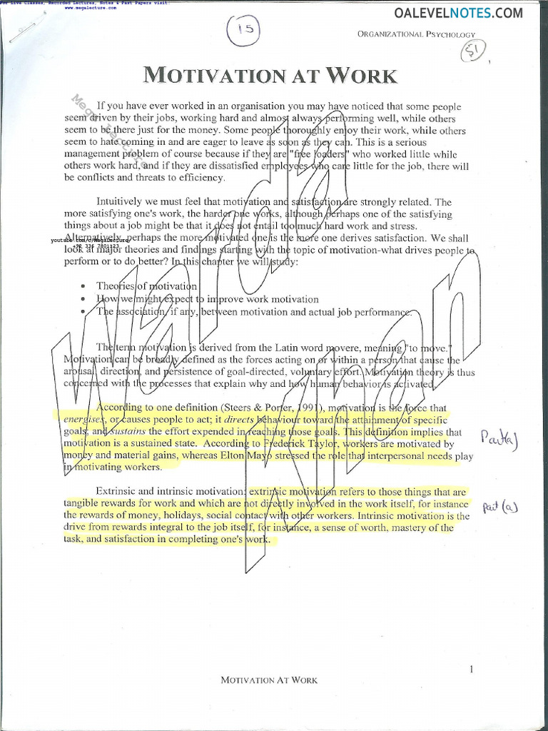 Motivation at Work | PDF