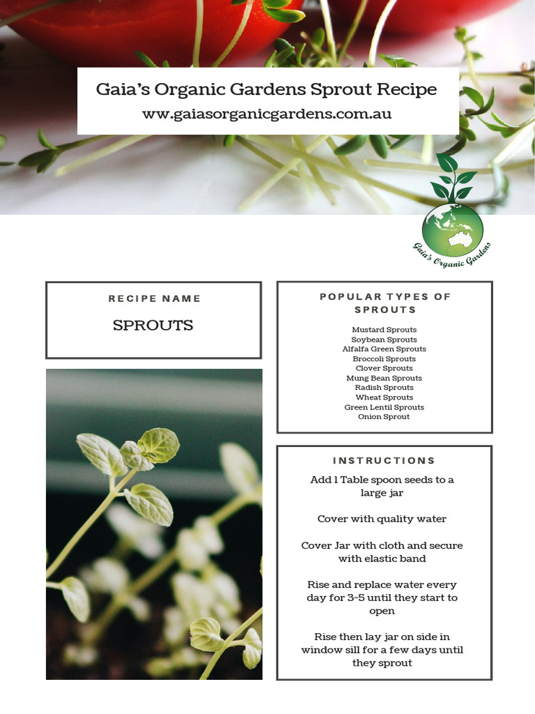 Sprout Recipe Card Fe3xvg | PDF